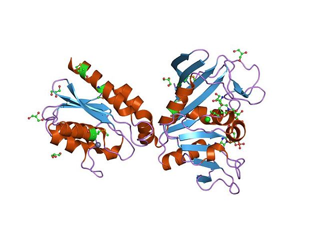 #17 Weekly Application highlight: Proteins - Kemtrak